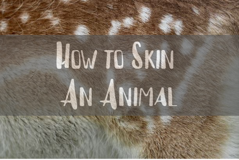 How to Skin an Animal With A Hunting Knife – Stag Knives